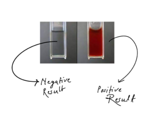 Seliwanoff's Test - Principle, Procedure, Result, Uses - Biology Notes ...