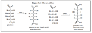 Mucic acid test - Principle, Procedure, Result - Biology Notes Online