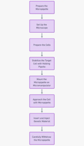 Microinjection - Definition, Types, Principle, Steps Applications ...