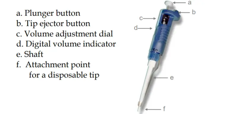 How to Use a Micropipette? - Biology Notes Online