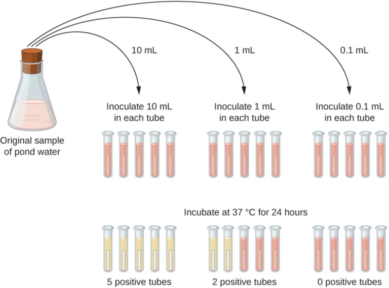 Most Probable Number (MPN) Test - Principle, Procedure, Results ...