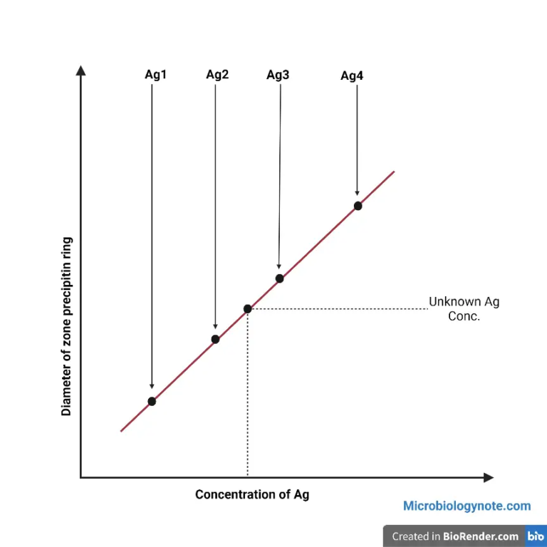 Radial Immunodiffusion - Principle, Procedure, Result, Uses - Biology ...