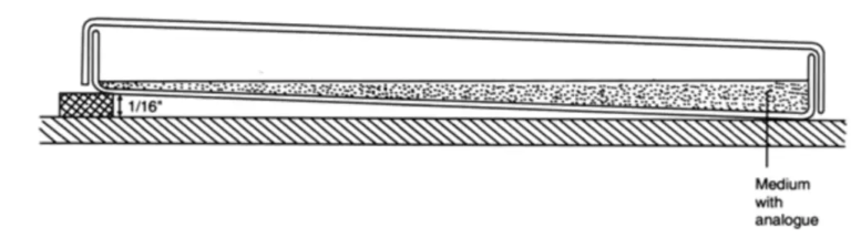 Production Strain - Screening, Development, Preservation, Preparation ...