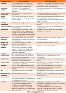 Differences between Active Immunity and Passive Immunity - Biology ...