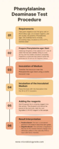 Phenylalanine Deaminase Test Principle, Procedure, Result - Biology ...