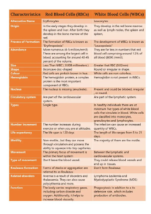 Differences between RBC and WBC - RBC vs WBC - Biology Notes Online