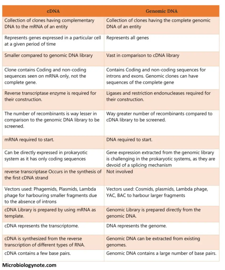 Difference Between Cdna And Genomic Dna Cdna Vs Genomic Dna Biology Notes Online 