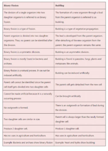 13 Difference Between Binary Fission and Budding - Biology Notes Online