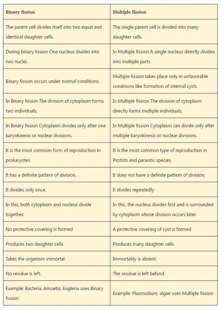 Difference Between Mitosis And Binary Fission Compare The Difference