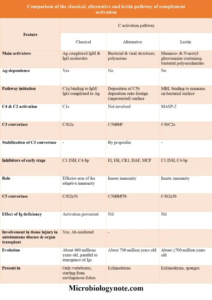 Difference Between Classical, Alternative and Lectin Pathway - Biology ...