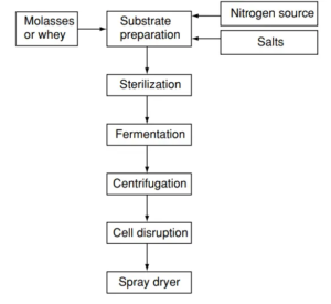 Single Cell Protein (SCP) – Definition, Sources, Production, Uses ...
