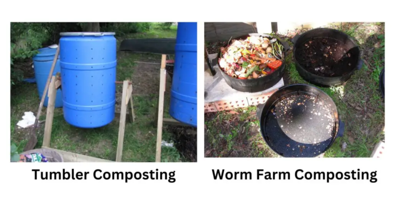 Composting - Methods, Types, Factors, Importance - Biology Notes Online