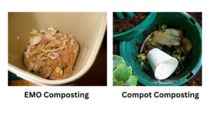 Composting - Methods, Types, Factors, Importance - Biology Notes Online