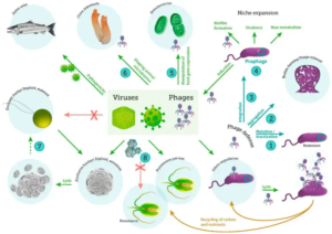 Distribution Of Microorganisms In Aquatic Environment - Biology Notes ...
