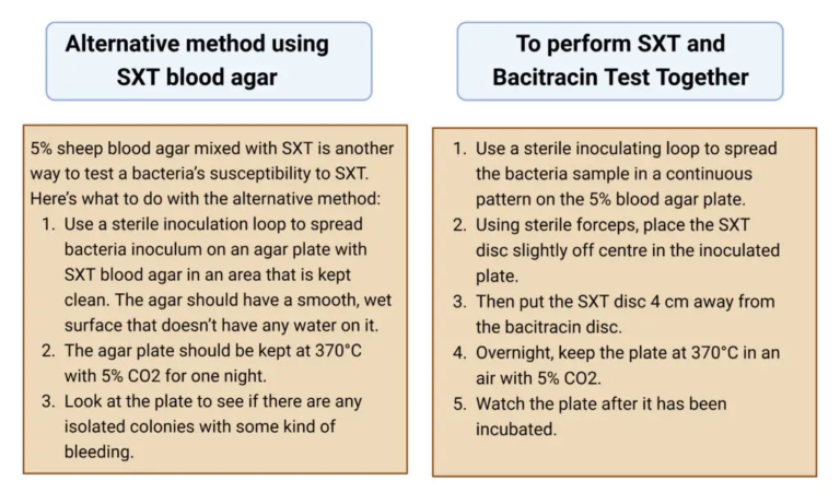 SXT (Sulfamethoxazole-Trimethoprim) Test - Principle, Procedure, Result ...
