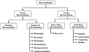 Bioremediation - Definition, Types, Application - Biology Notes Online