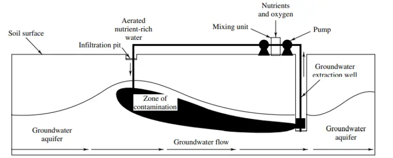 Bioremediation - Definition, Types, Application - Biology Notes Online
