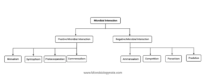 Microbial interaction - Definition, Types, Characteristics, Examples ...
