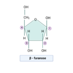 DNA - Definition, Structure, Properties, Types, Functions - Biology ...