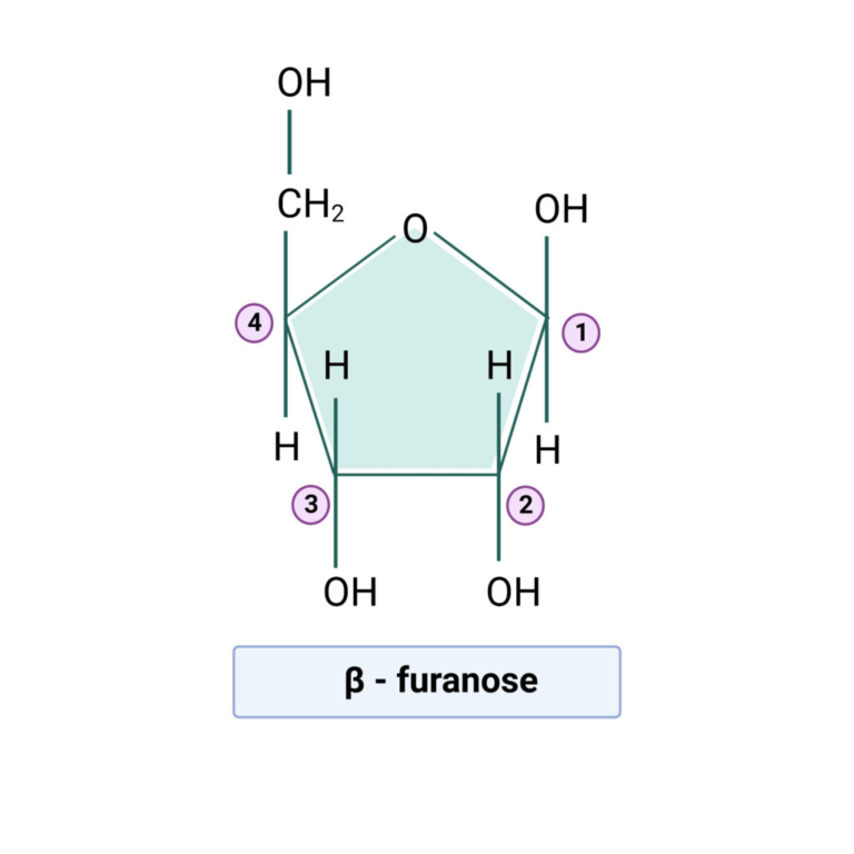DNA - Definition, Structure, Properties, Types, Functions - Biology ...