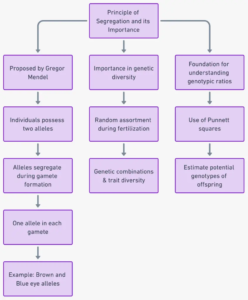 Mendel’s Law of Segregation - Definition, Principle, Examples ...