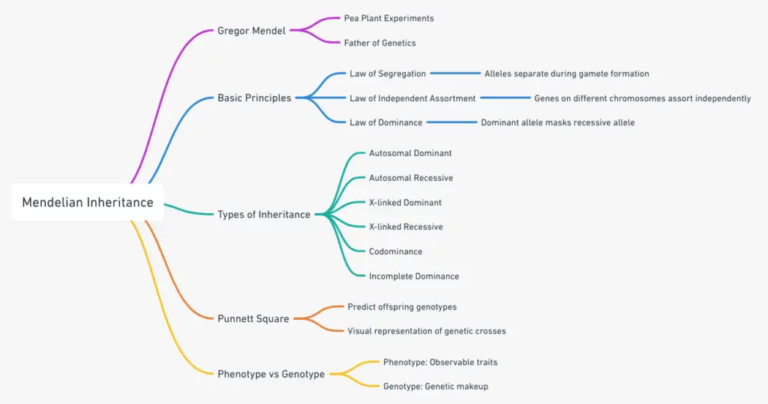 Mendel’s Laws Of Inheritance - Mendelian Inheritance - Biology Notes Online