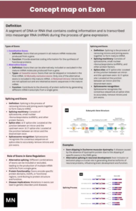 Exon - Definition, Types, Structure, Functions - Biology Notes Online