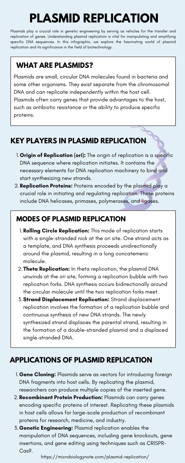 Plasmid Replication - Mechanism With Diagram - Biology Notes Online