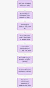 Incomplete Dominance - Definition, Mechanism, Examples - Biology Notes ...