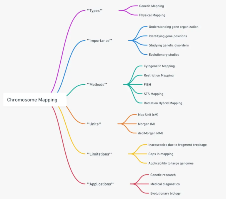 Chromosome Mapping - Definition, Types, Steps, Unit, Importance ...