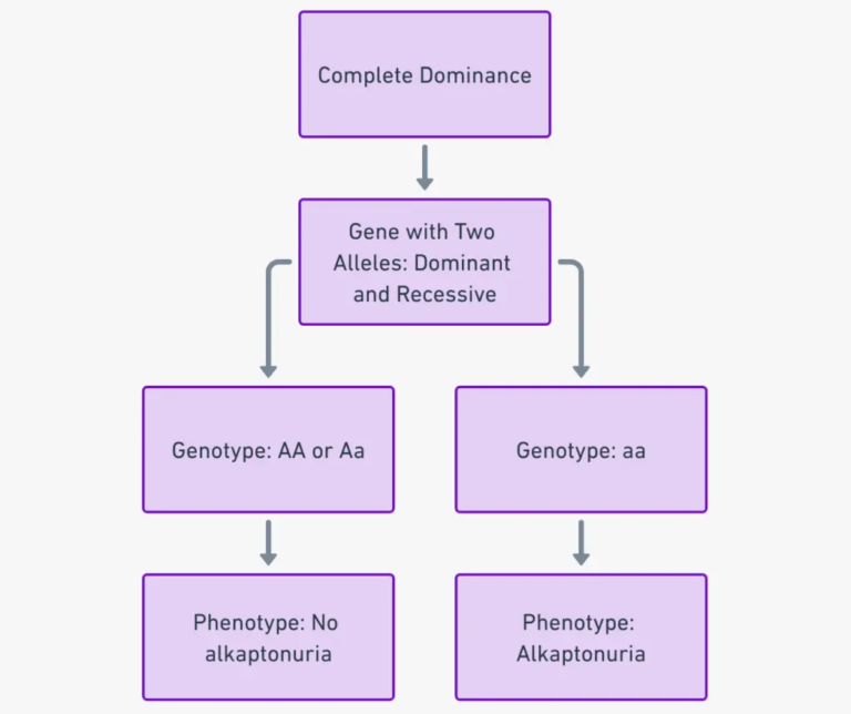 Gene Interaction - Definition, Types, Examples, Importance - Biology ...