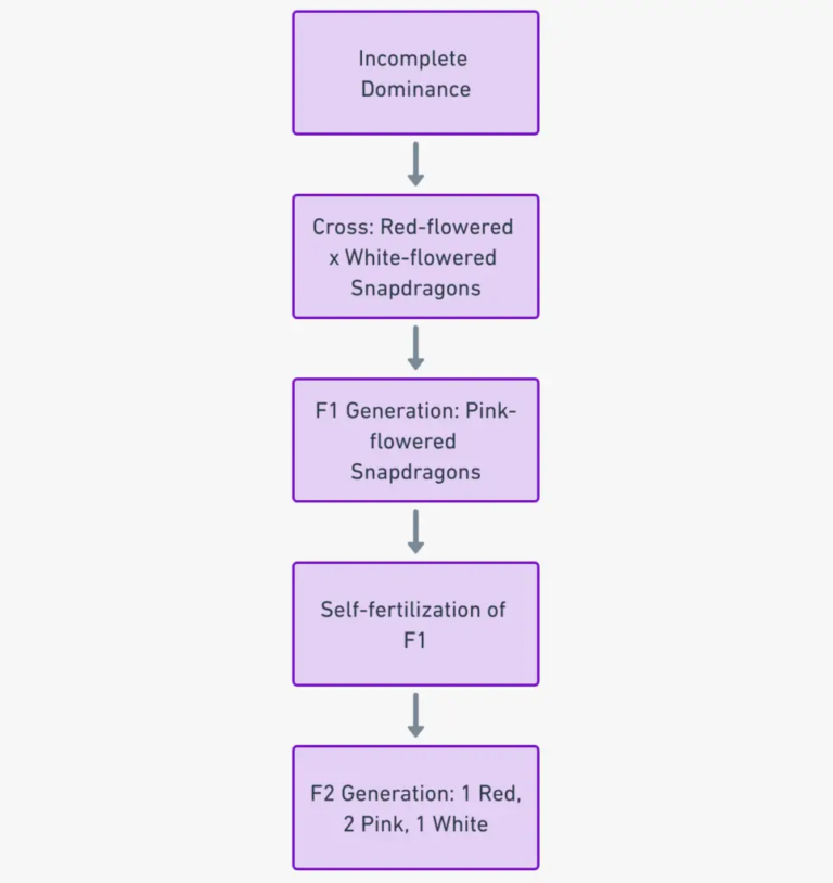 Gene Interaction Definition Types Examples Importance Biology 5971