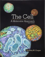 Top 15 Books for Molecular Biology - Biology Notes Online