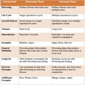 Difference between Monocarpic and Polycarpic Plants - Biology Notes Online