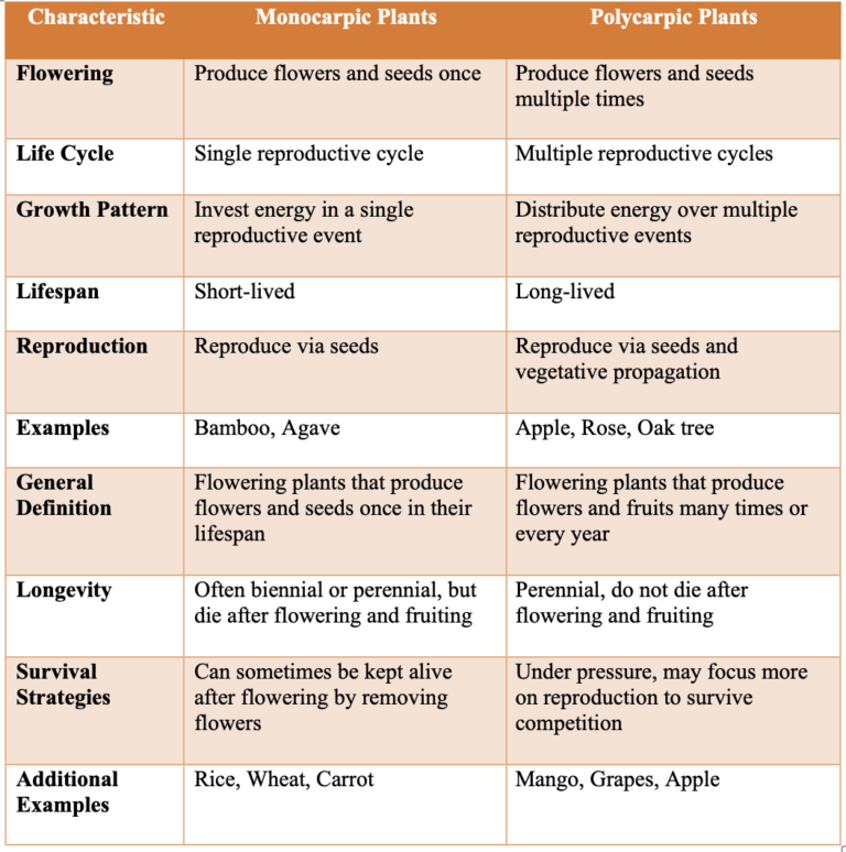 Difference between Monocarpic and Polycarpic Plants - Biology Notes Online