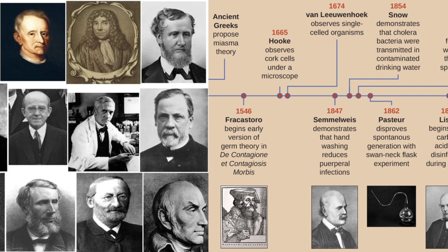 Basic Microbiology - Microbiology Note