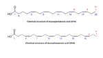 Omega-3 Fatty Acids - Types, Structure, Sources, Functions - Biology ...