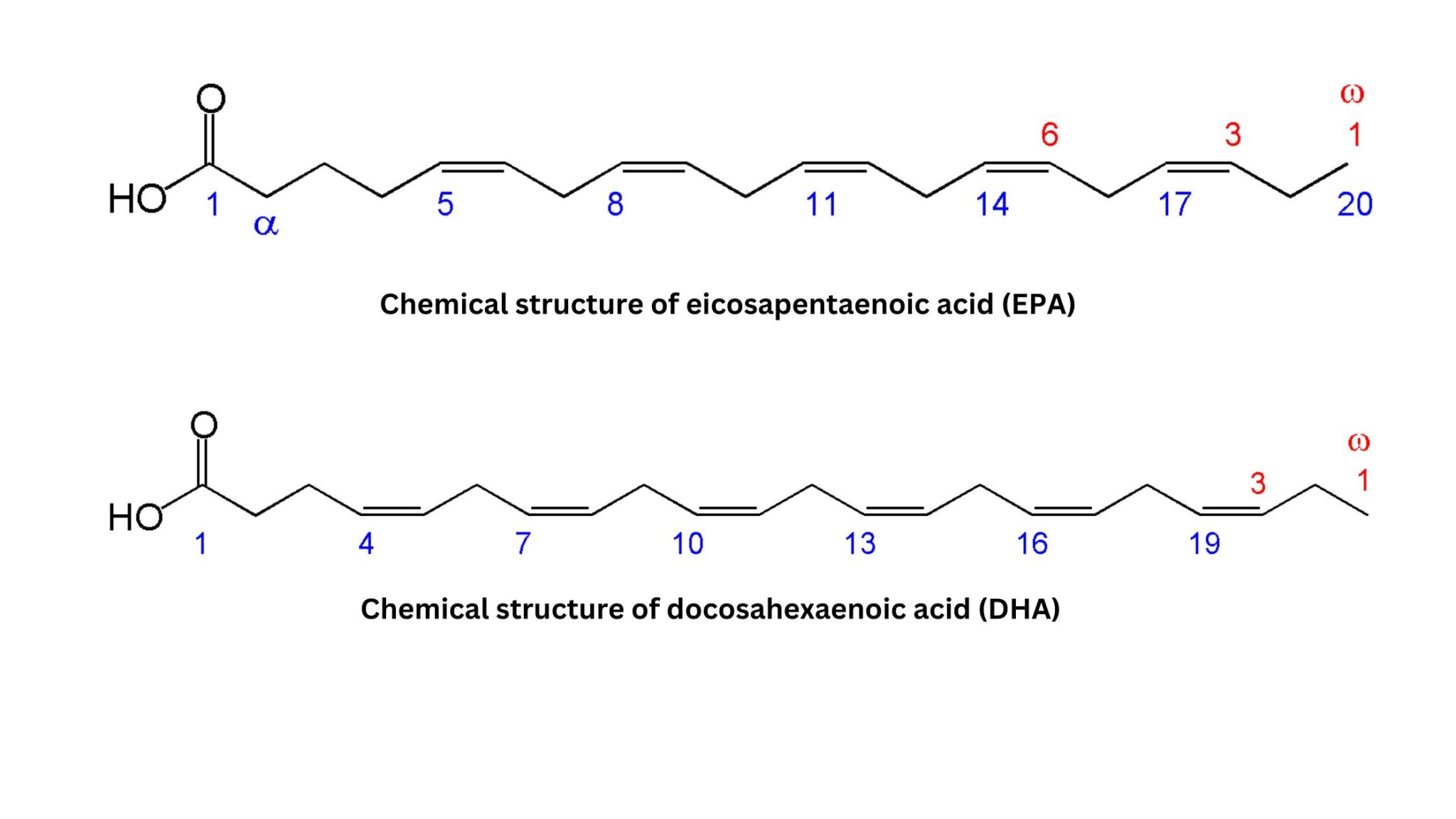 Omega-3 Fatty Acids - Types, Structure, Sources, Functions - Biology ...