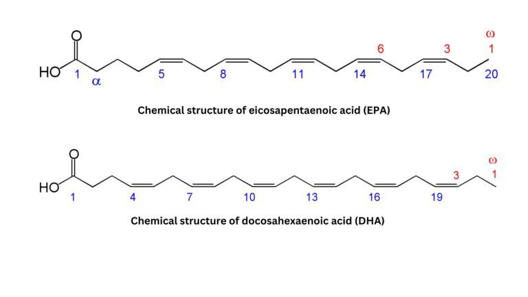Synthesis of Fatty Acid - Biology Notes Online