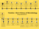 History of Microbiology - Biology Notes Online