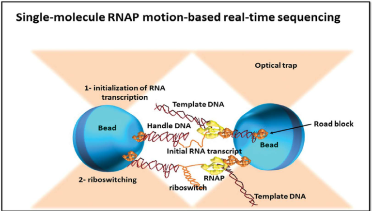 Next-Generation Sequencing (NGS)- Definition, Types, Applications ...