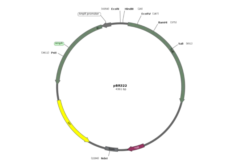 Vector - Definition, Examples, Characteristics, Types, Applications ...