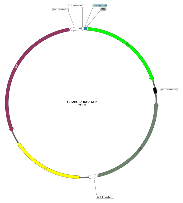 Vector - Definition, Examples, Characteristics, Types, Applications ...