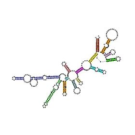 Rna Definition Types Structure And Functions Biology Edu Care