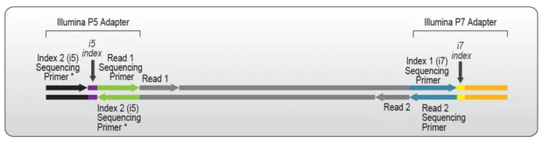 Next Generation Sequencing - Principle, Steps Involved, and ...