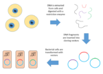 DNA Sequencing - Definition, Principle, Steps, Types, Applications ...