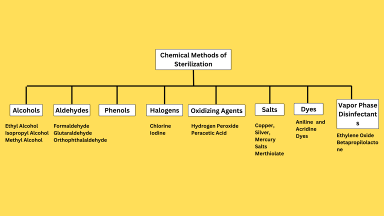 Sterilization - Physical and Chemical methods - Biology Notes Online