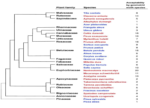Biometrics, Numerical taxonomy and Cladistics - Biology Notes Online