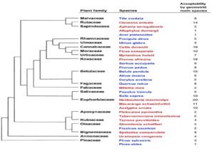 Biometrics, Numerical taxonomy and Cladistics - Biology Notes Online