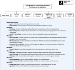 Culture Media - Definition, Types, Composition, Use, Examples - Biology ...